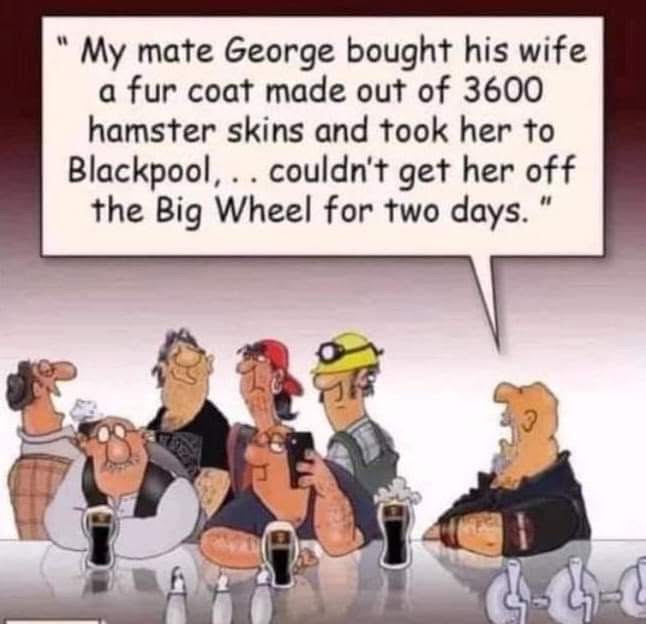 Funny Pics & Vids - June - Cardiff City Forum